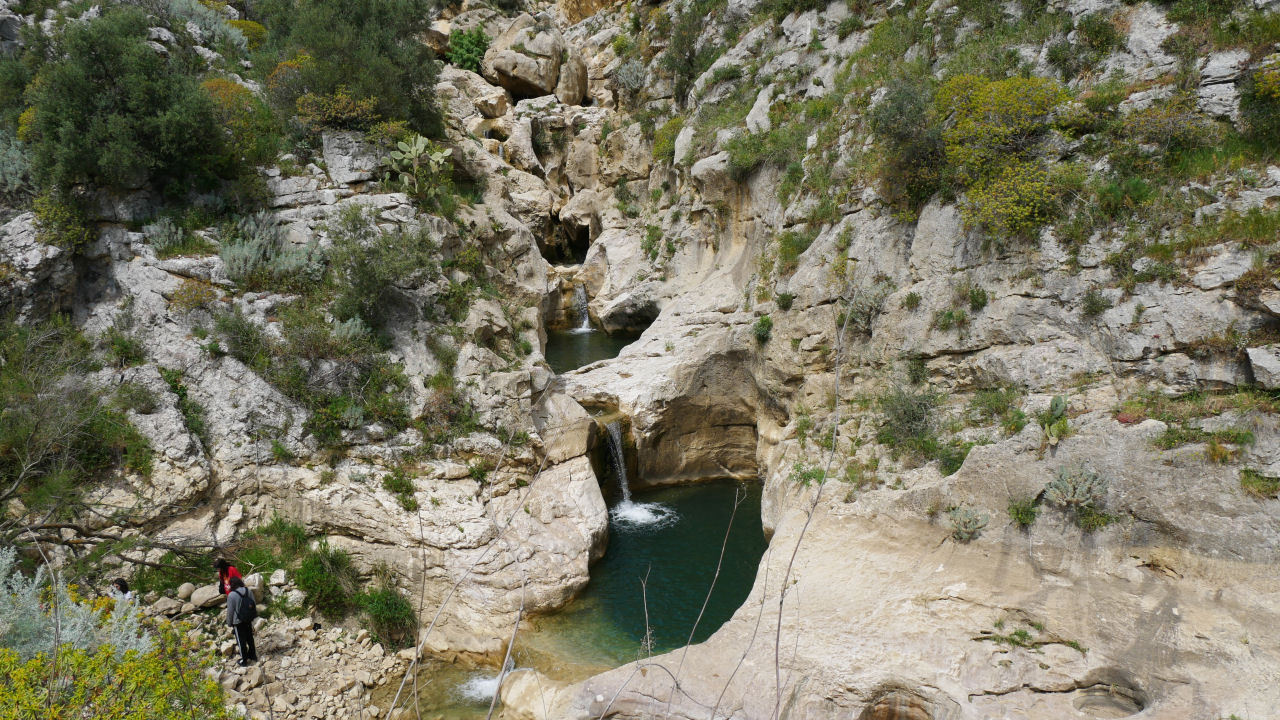 Piana degli Albanesi - Altri Orizzonti